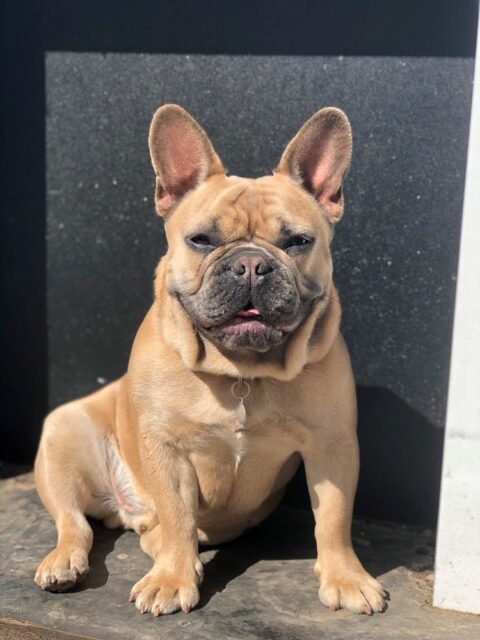 Gallery - The Oyster Inn at Butley